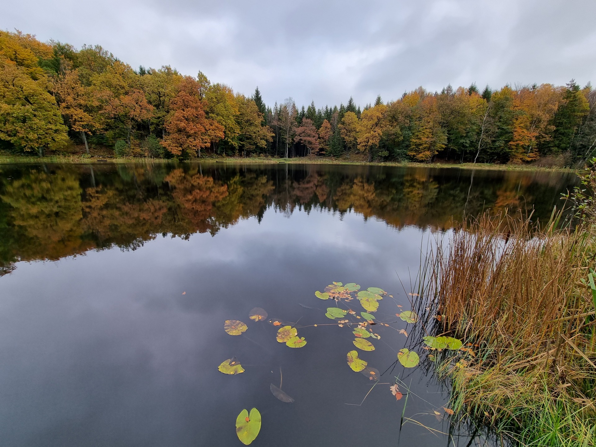 Frågor & Svar :: Tollerupsjön